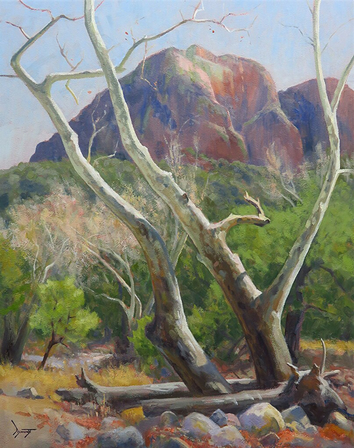 David Schwindt Toscana Gallery Tucson AZ landscape desert scenes